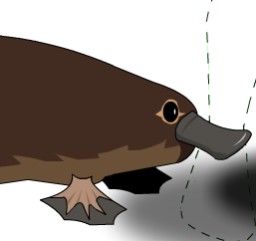 Yazar: ornitorenk - Normal Sözlük